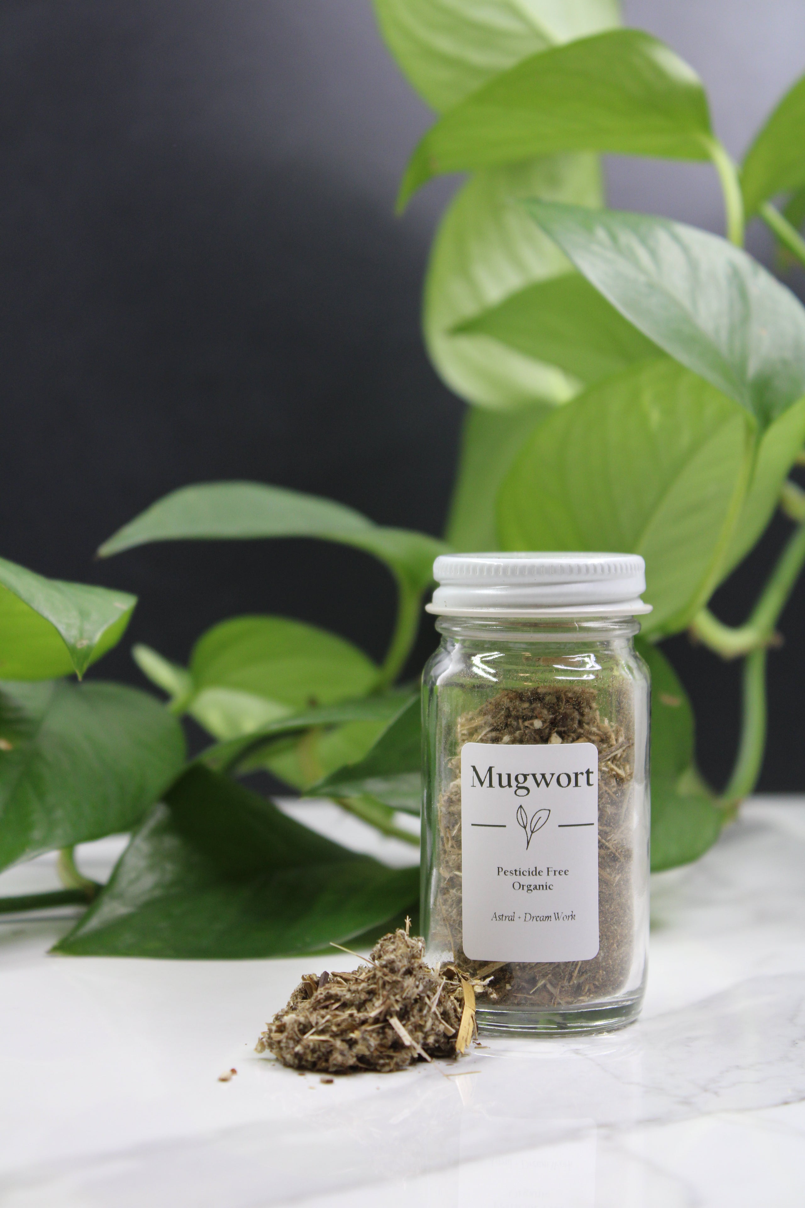 Organic Mugwort